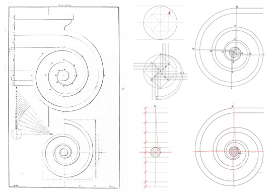 100disegni: 12/05/10 – Voluta Ionica